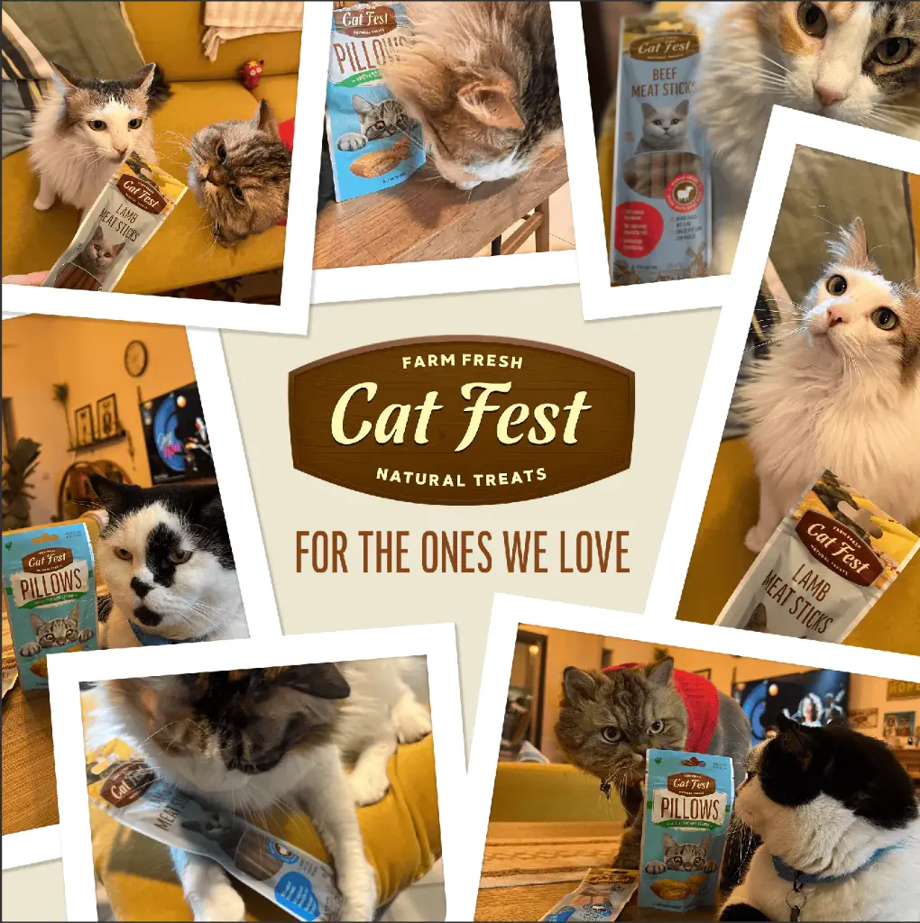 Cat Fest Meat Sticks Duck For Cat[Weight - 45g] | SMBG B2B Website
